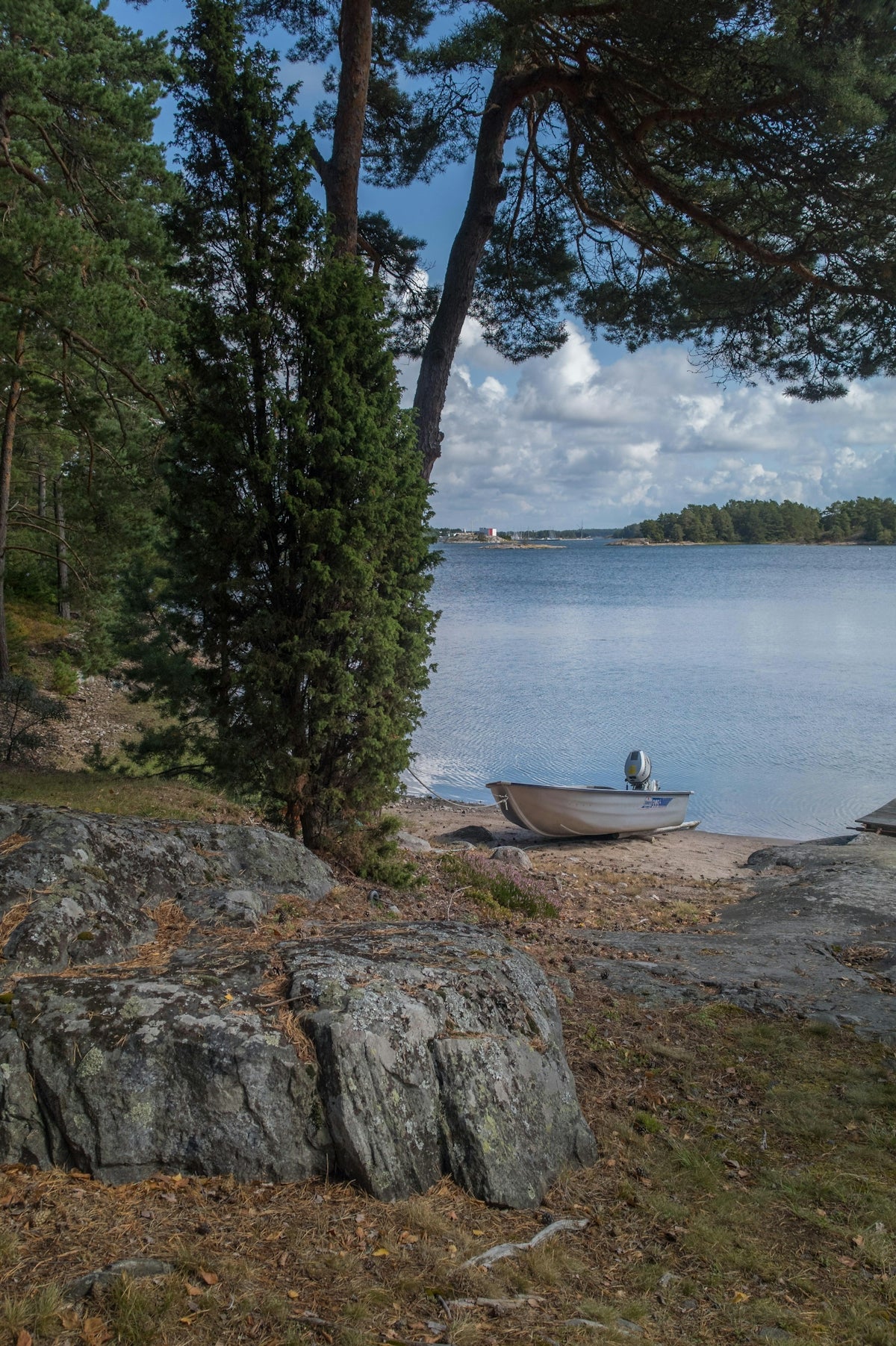 Så Väljer du Rätt Bilbatteriladdare: Förstå Fördelarna med 6 ...